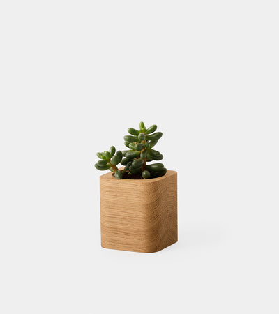 Cubic Pot | Oakywood.shop