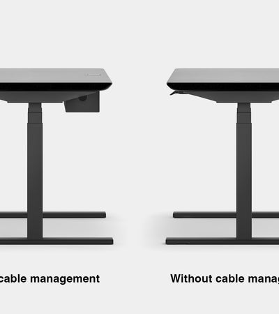 High-End Standing Desk Pro | Oakywood.shop