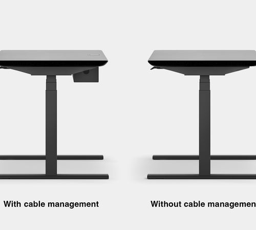 High-End Standing Desk Pro | Oakywood.shop