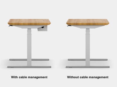 High-End Standing Desk Pro | Oakywood.shop