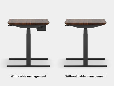 High-End Standing Desk Pro | Oakywood.shop