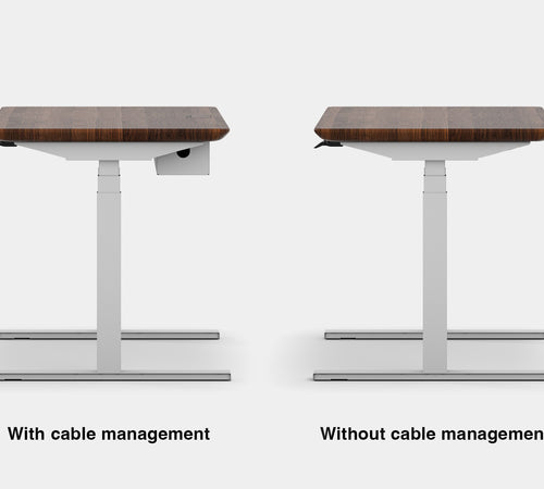 High-End Standing Desk Pro | Oakywood.shop