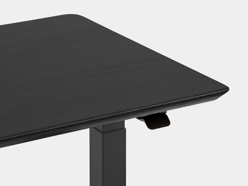 High-End Standing Desk Pro | Oakywood.shop