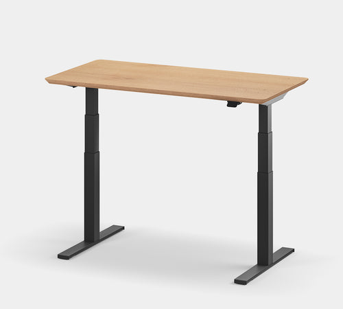 High-End Standing Desk Pro | Oakywood.shop