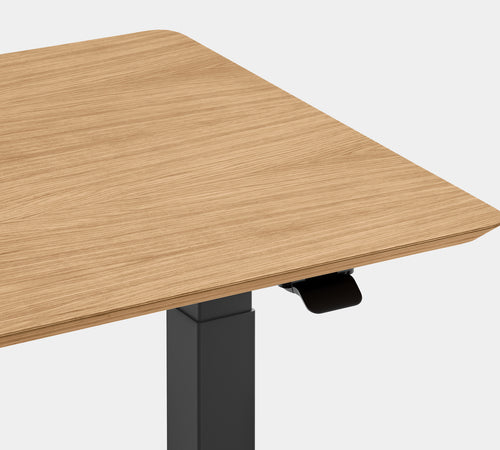 High-End Standing Desk Pro | Oakywood.shop