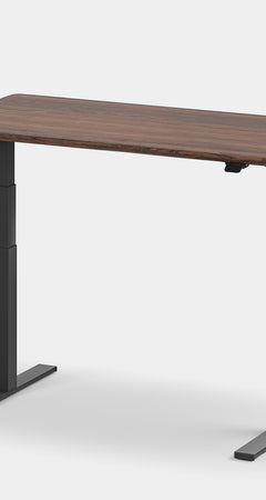 High-End Standing Desk Pro | Oakywood.shop