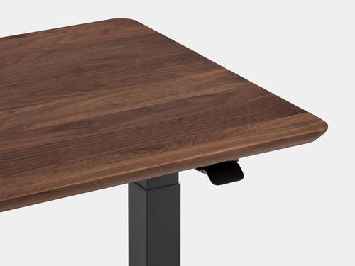 High-End Standing Desk Pro | Oakywood.shop