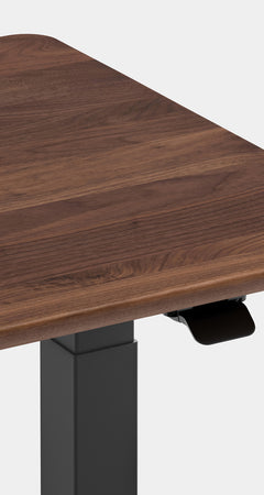 High-End Standing Desk Pro | Oakywood.shop