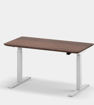 High-End Standing Desk Pro | Oakywood.shop