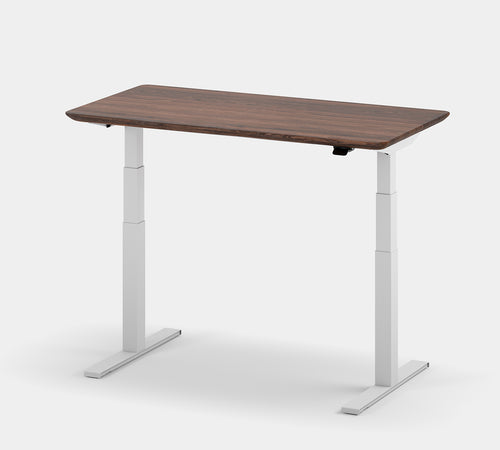 High-End Standing Desk Pro | Oakywood.shop