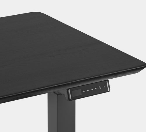 Standing Desk Touch | Solid Wood Electric Standing Desk with Dual Motor ...