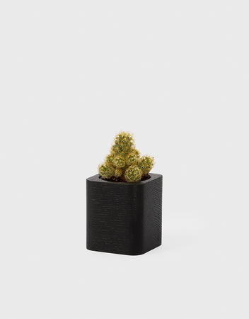 Cubic Pot | Oakywood.shop