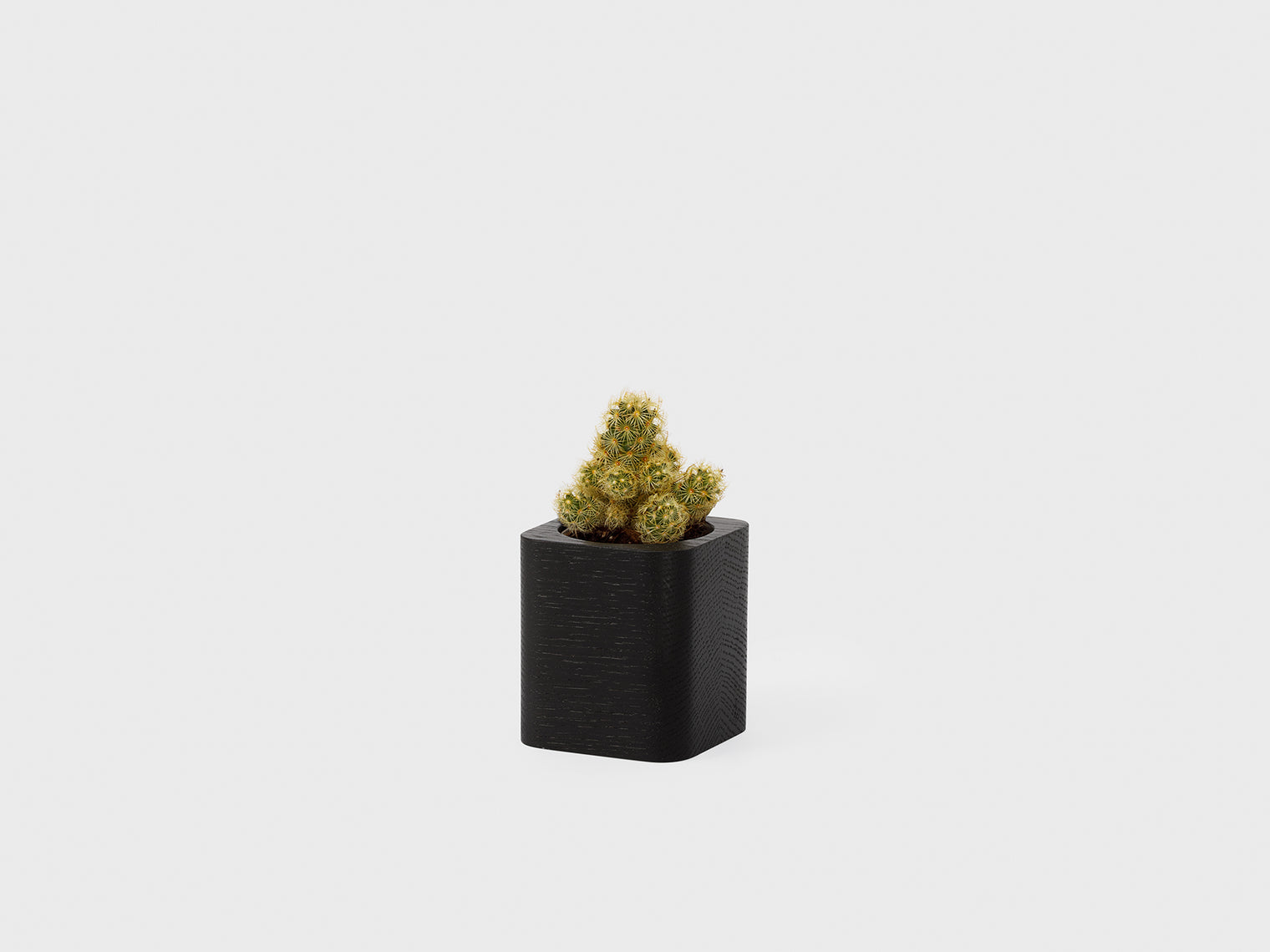 Cubic Pot | Oakywood.shop